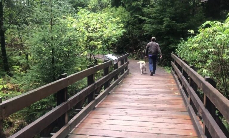 Oswald West State Park Oregon - 2026 Visitor Guide (+Maps)