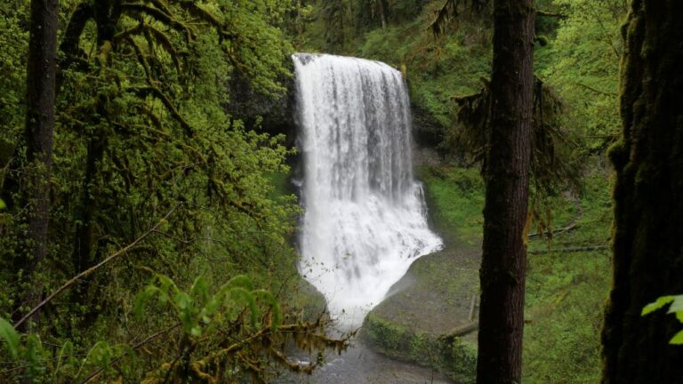16 Must-See Waterfalls Near Portland Oregon | +Maps & Local Tips