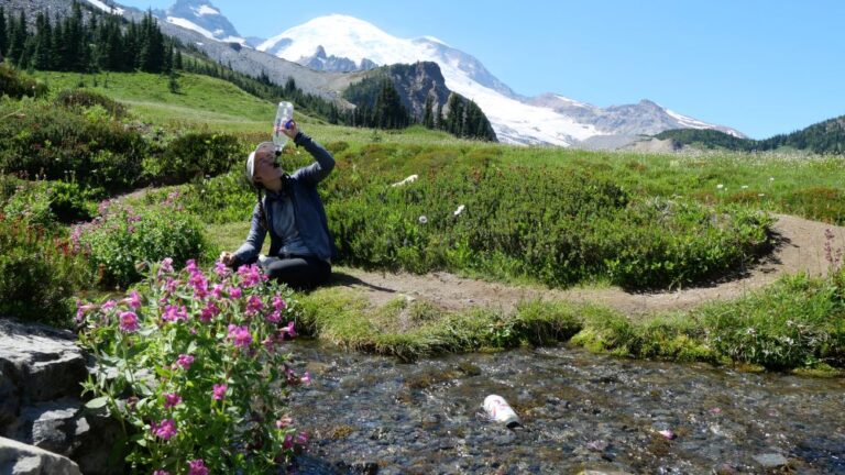 Wonderland Trail Mt. Rainier - Ultimate Guide 2026 (+Maps)