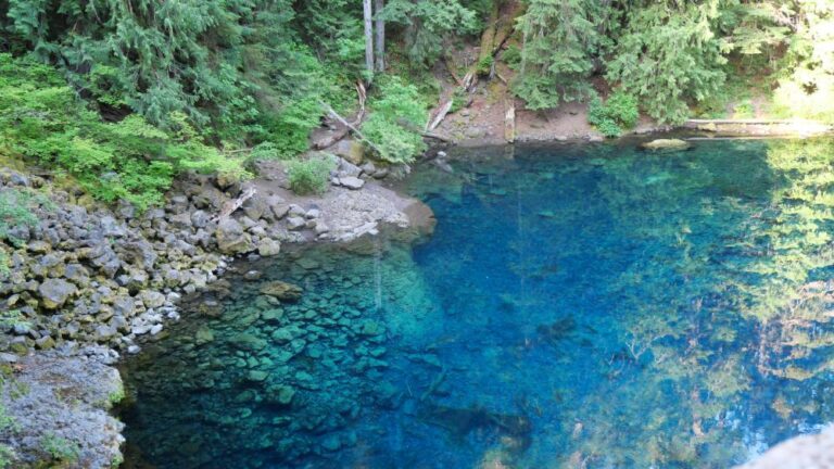 Blue Pool Oregon - 2026 Adventure Guide (+Map)